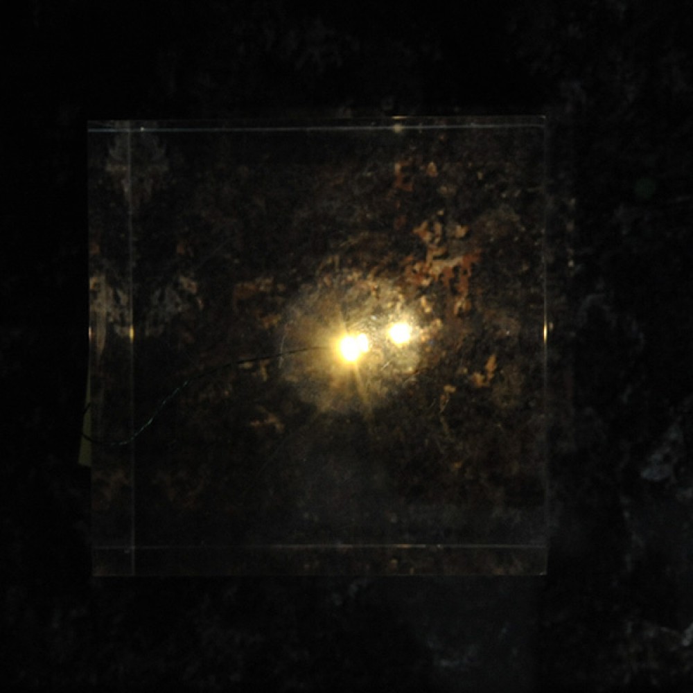 Ultra-Small LED Lamp High-intensity Light Bulb (1pc)